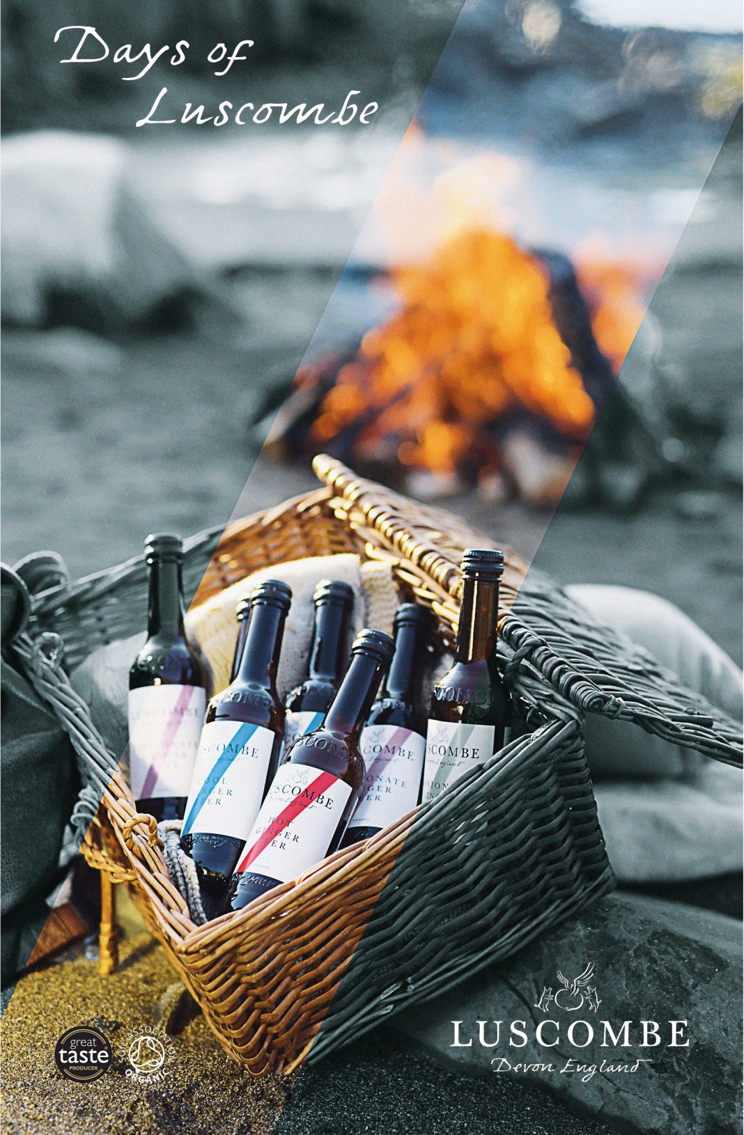 Luscombe Drinks celebrates 21st anniversary with exciting new creative ...