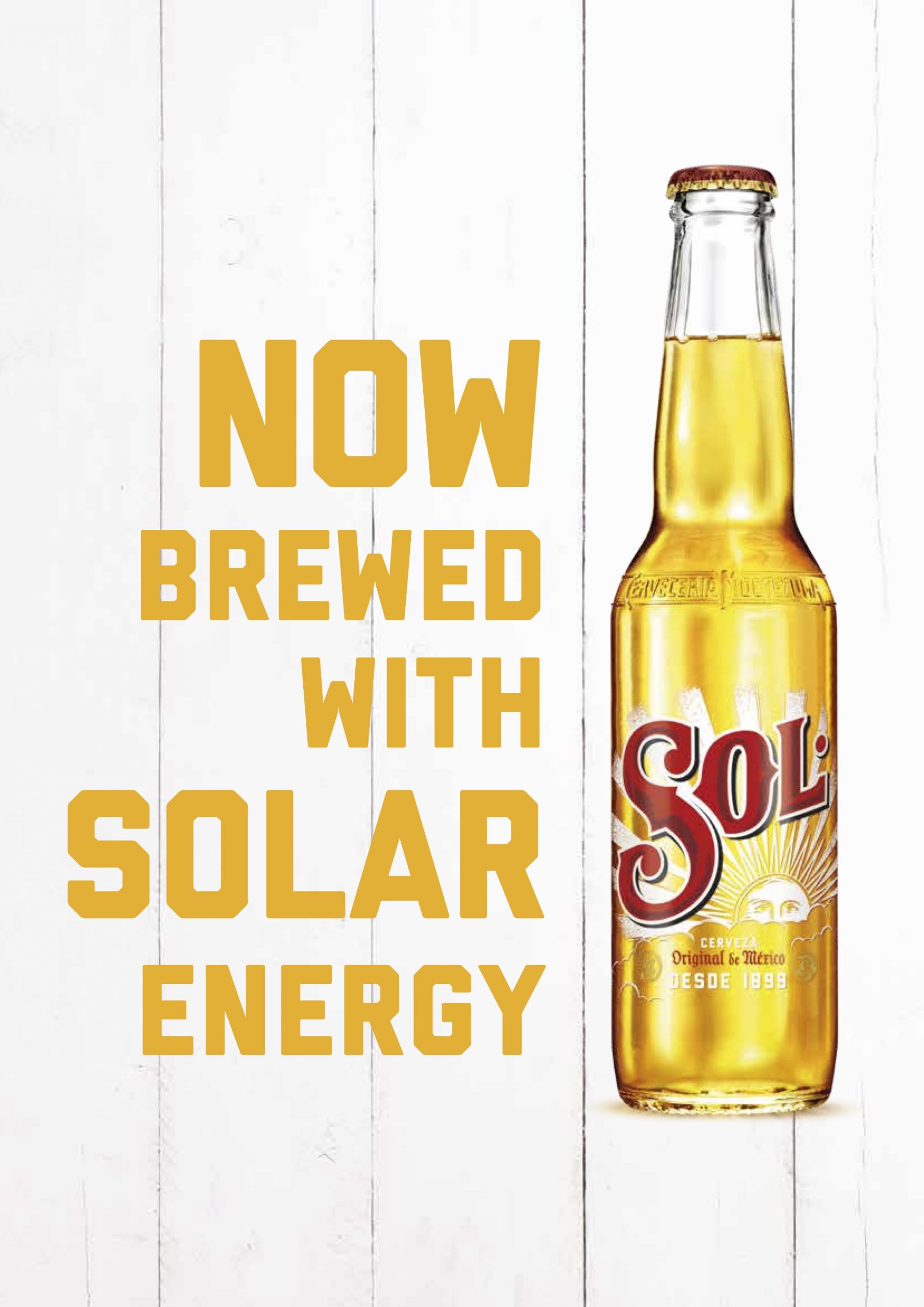 Heineken UK dials up sustainability credentials, as Sol brews it's ...